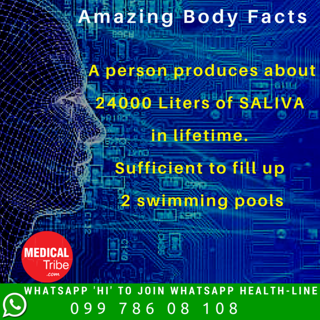 Quantity of Saliva produced in lifetime | VIP Lab